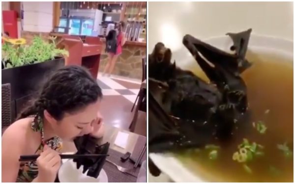 Video Shows Woman Eating Bat Amid Coronavirus Outbreak