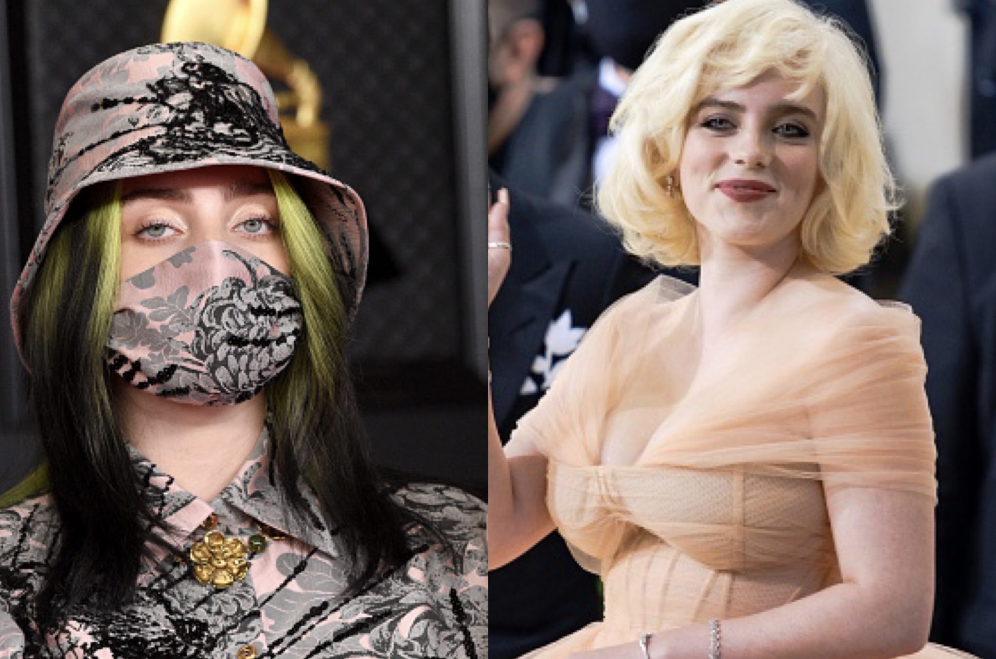 Billie Eilish Reveals She Lost Followers After Debuting New Look