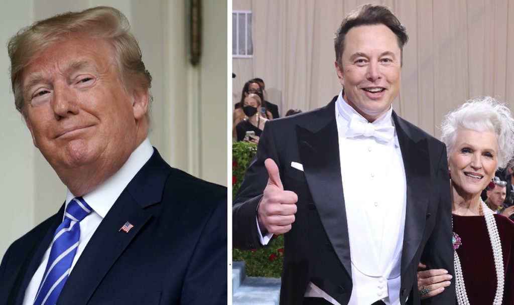 Donald Trump Reacts To Elon Musk Acquiring Twitter, Thinks The Company ...