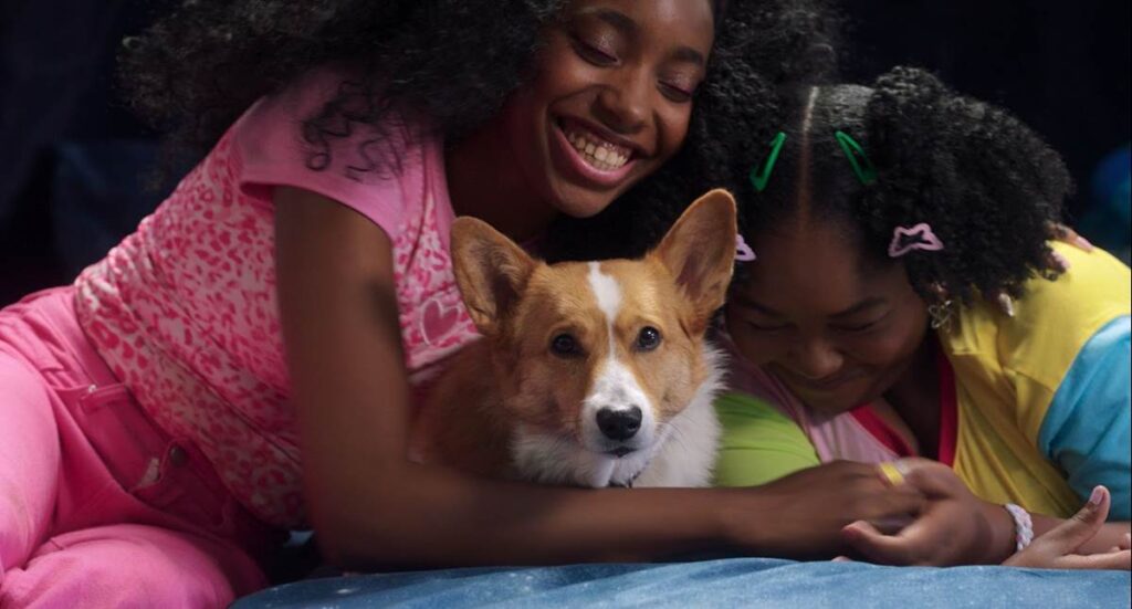 Disney+ Launchpad Project CC Has The Makings Of A Permanent Show ...