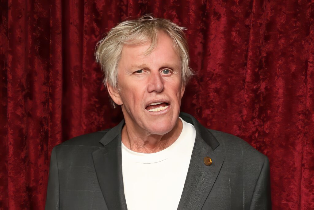 Gary Busey Reportedly Involved In A Hit-And-Run Accident In California ...