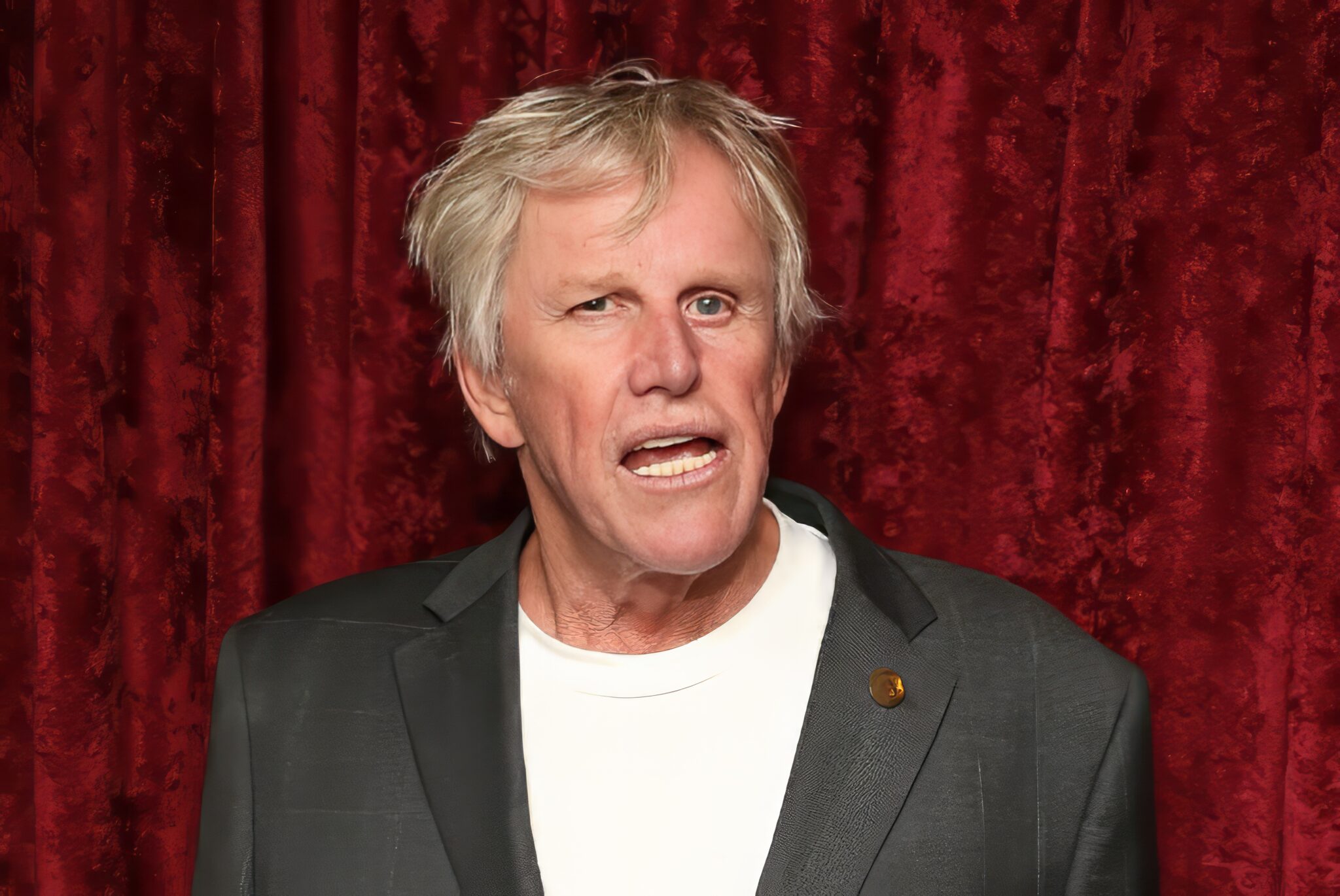 Gary Busey Reportedly Involved In A Hit-And-Run Accident In California ...