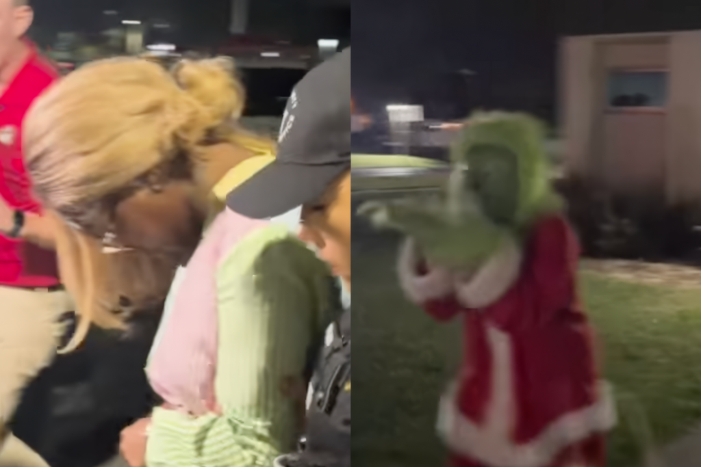 Florida Deputies Hire Grinch To Mock Woman Who Filed False Report About ...