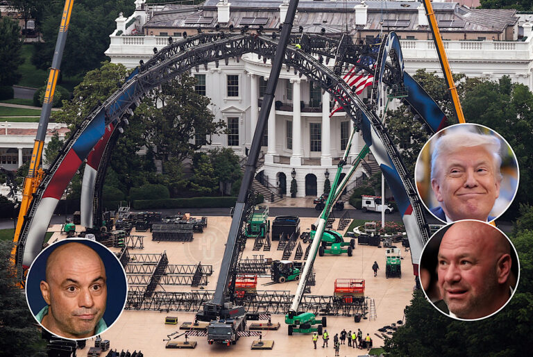 White House Builds Ufc Fighting Cage On South Lawn Ahead Of Donald